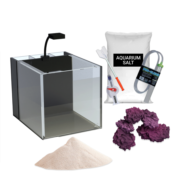 CoralFish12g - Dream Saltwater Aquarium Kit