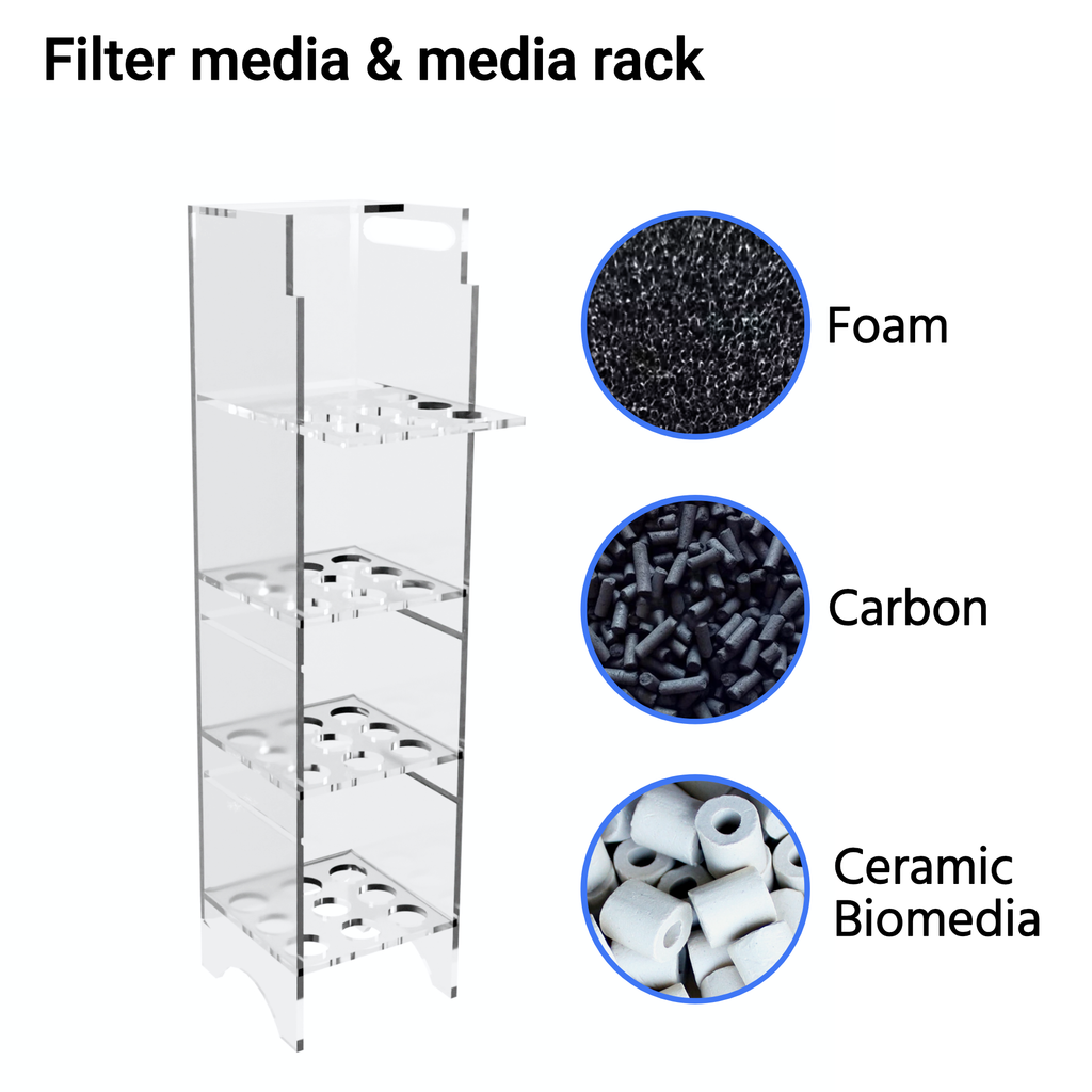 CoralFish12g - Dream Saltwater Aquarium Kit