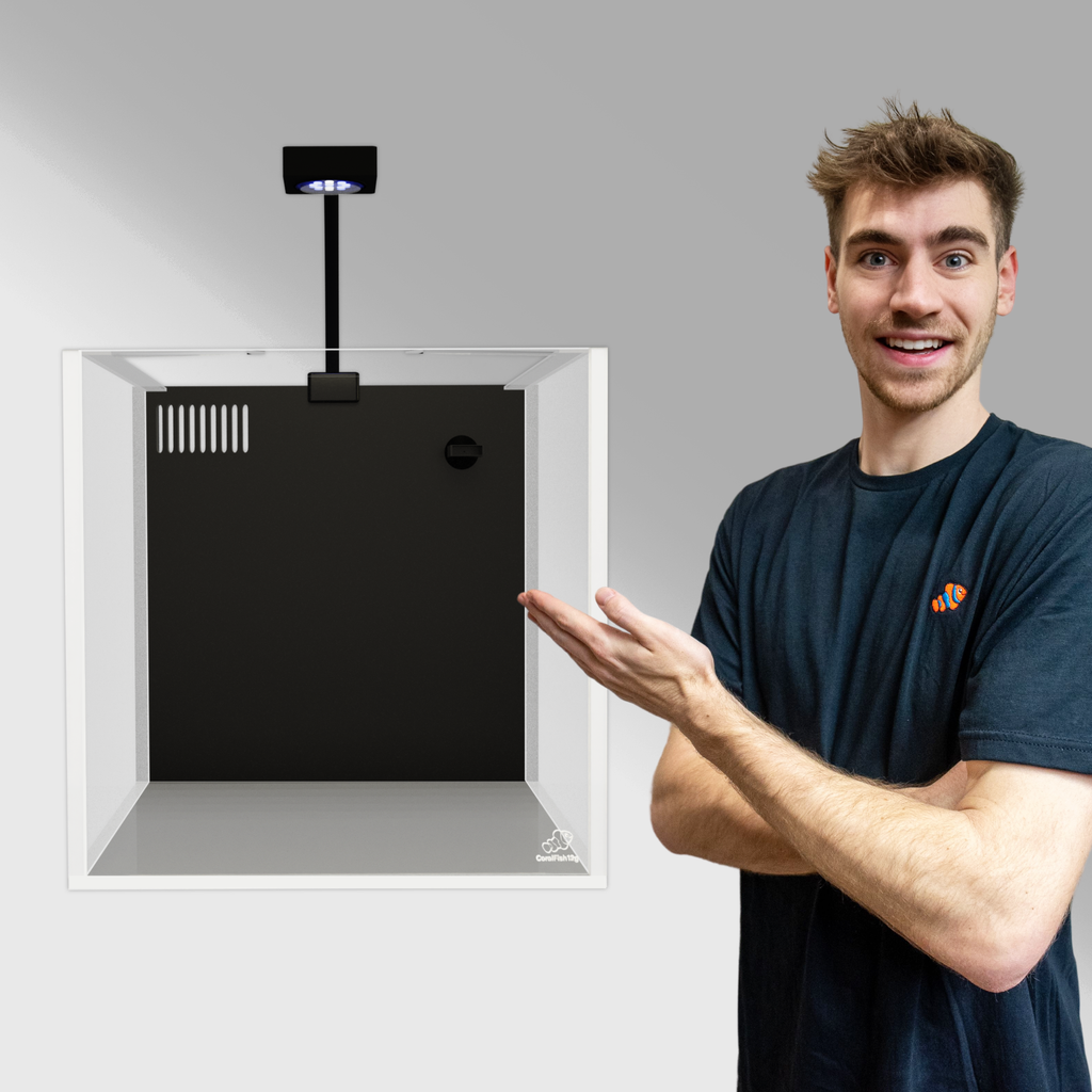 CoralFish12g - Dream Saltwater Aquarium Kit