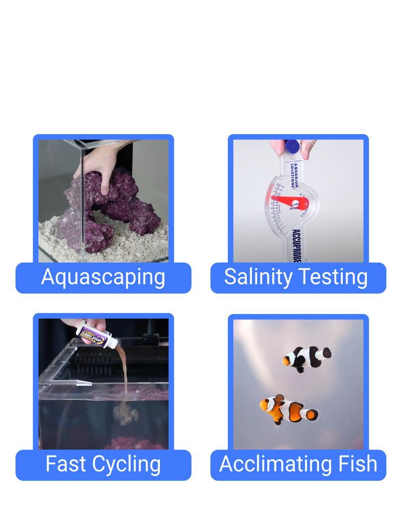 CoralFish12g - Dream Saltwater Aquarium Kit