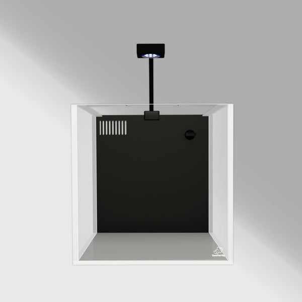 CoralFish12g - Dream Saltwater Aquarium Kit